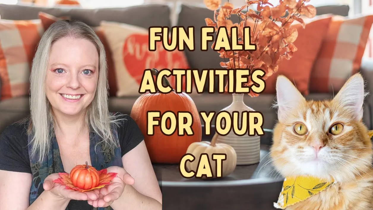 Fun Fall Activities For Your Cat - That Cat Mommy